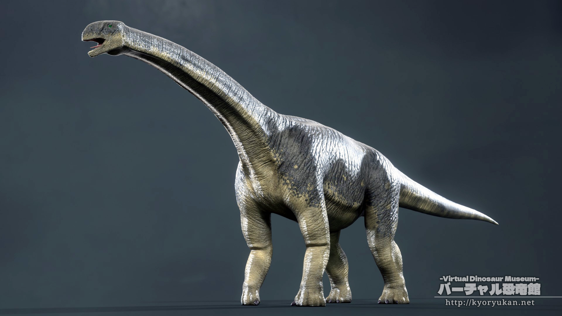 トゥリアサウルス – バーチャル恐竜館