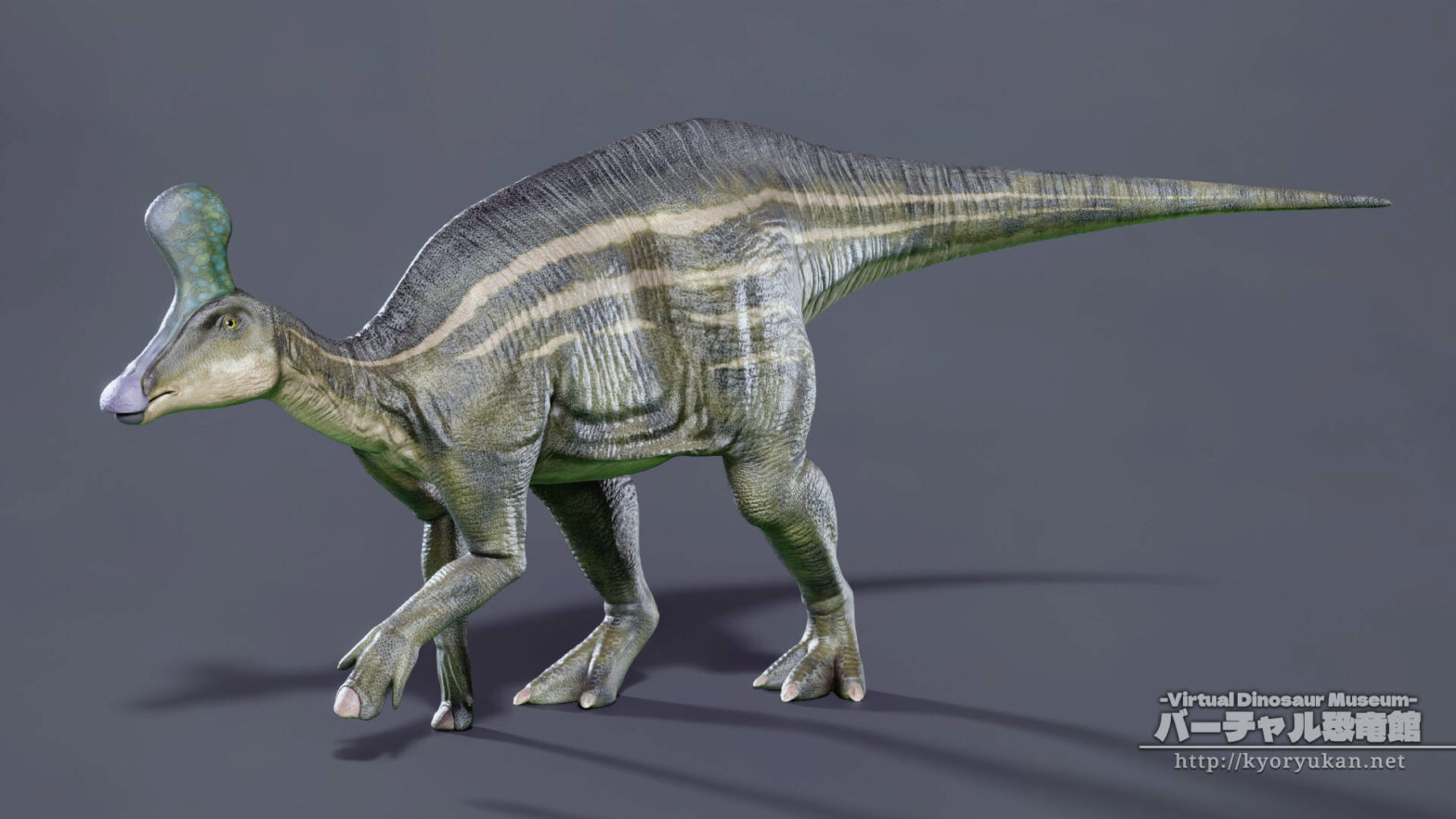 チンタオサウルス – バーチャル恐竜館